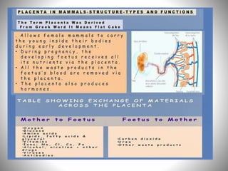 Placentation in mammal,classification of placenta and function | PPTX