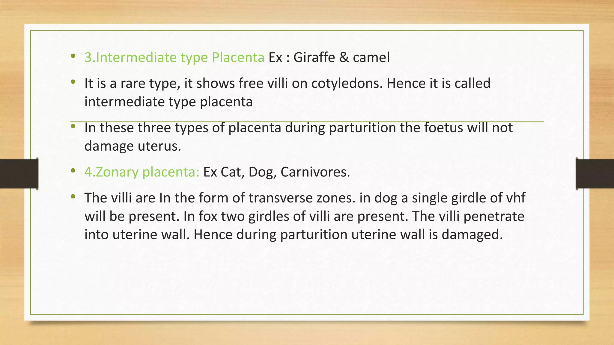 Placentation in mammals | PPTX