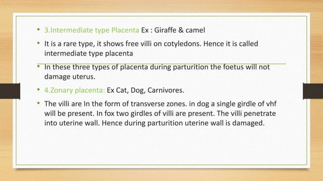 Placentation in mammals | PPTX | Pregnancy | Reproductive Health