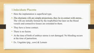 Placentation in mammals | PPTX