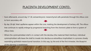 Placenta types and grading | PPTX