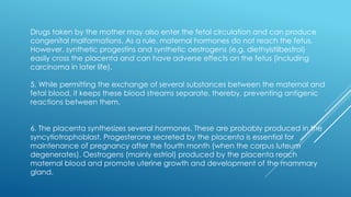 PLACENTA ULTIMATE anatomy seminar presentation | PPTX
