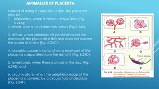 PLACENTA ULTIMATE anatomy seminar presentation | PPTX