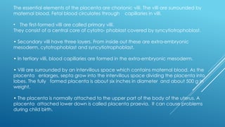 PLACENTA ULTIMATE anatomy seminar presentation | PPTX