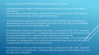 PLACENTA ULTIMATE anatomy seminar presentation | PPTX