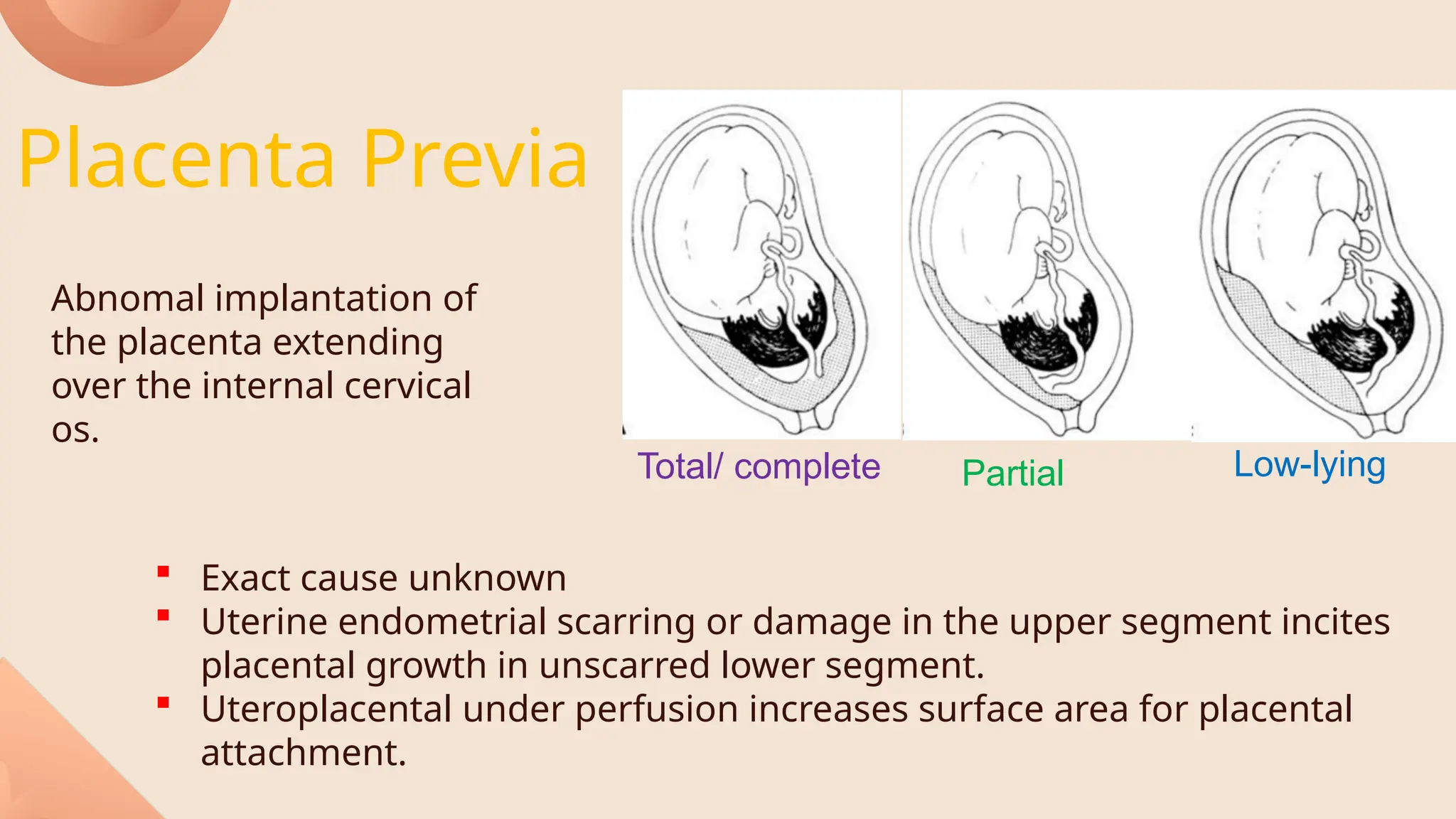 Placenta, Umblical cord, Amniotic fluid, and Hematological disorders in ...