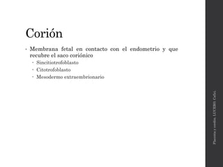 placenta y cordon ultrasonido obstetrico.pptx