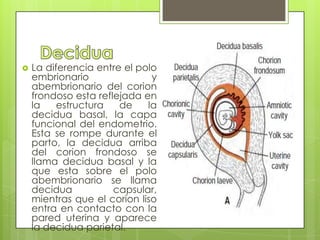 Placenta y membrana | PPTX