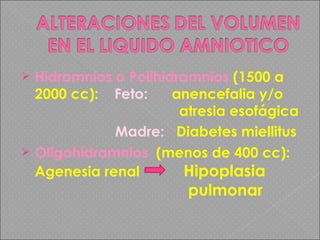 Placenta y membranas fetales | PPT