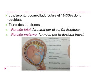 Placenta y membranas fetales | PPTX
