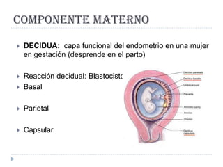 Placenta y membranas fetales2 | PPTX