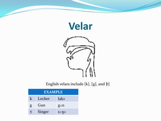 Place of articulation | PPTX
