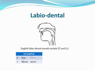 Place of articulation | PPTX