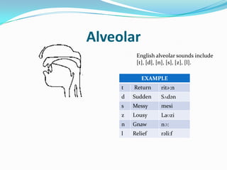 Place of articulation | PPTX