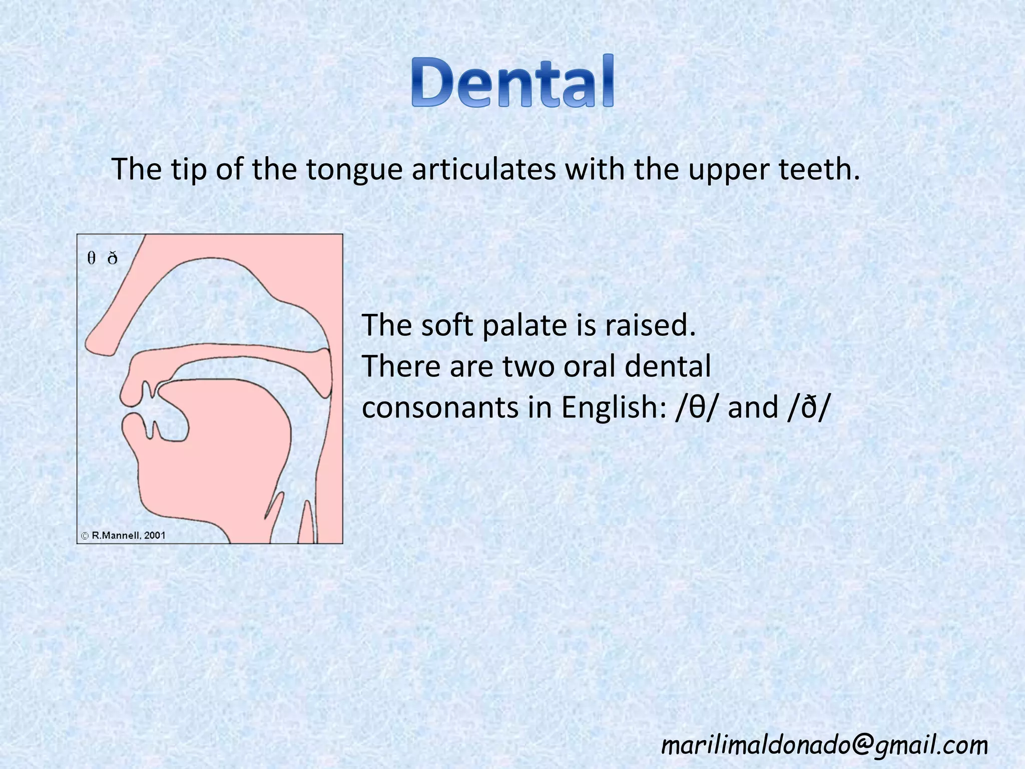 English Consonants - Place of articulation | PPTX