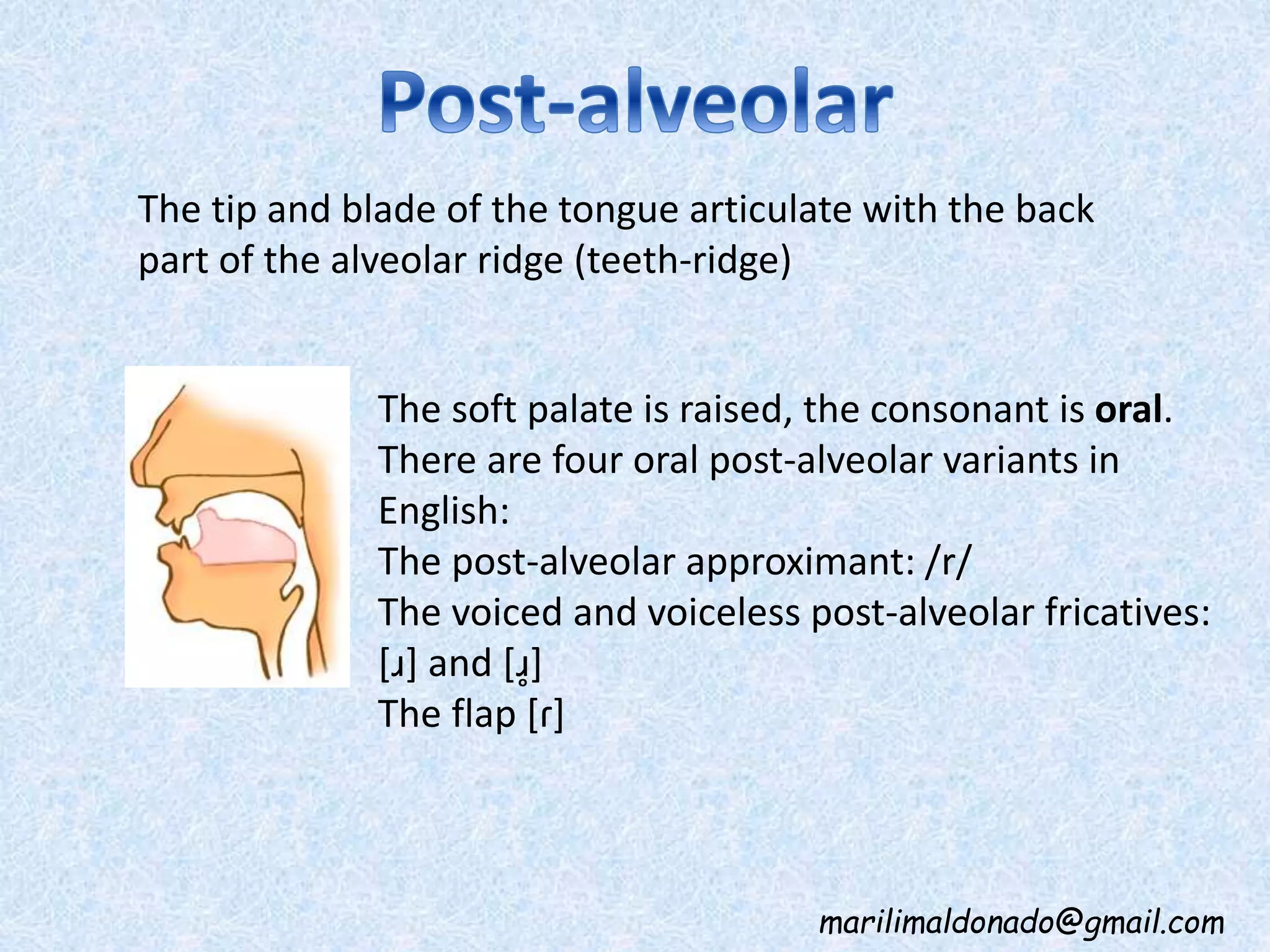 English Consonants - Place of articulation | PPTX
