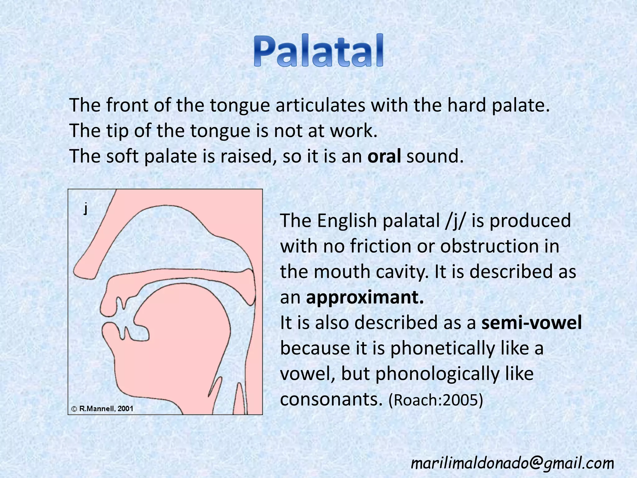 English Consonants - Place of articulation | PPTX