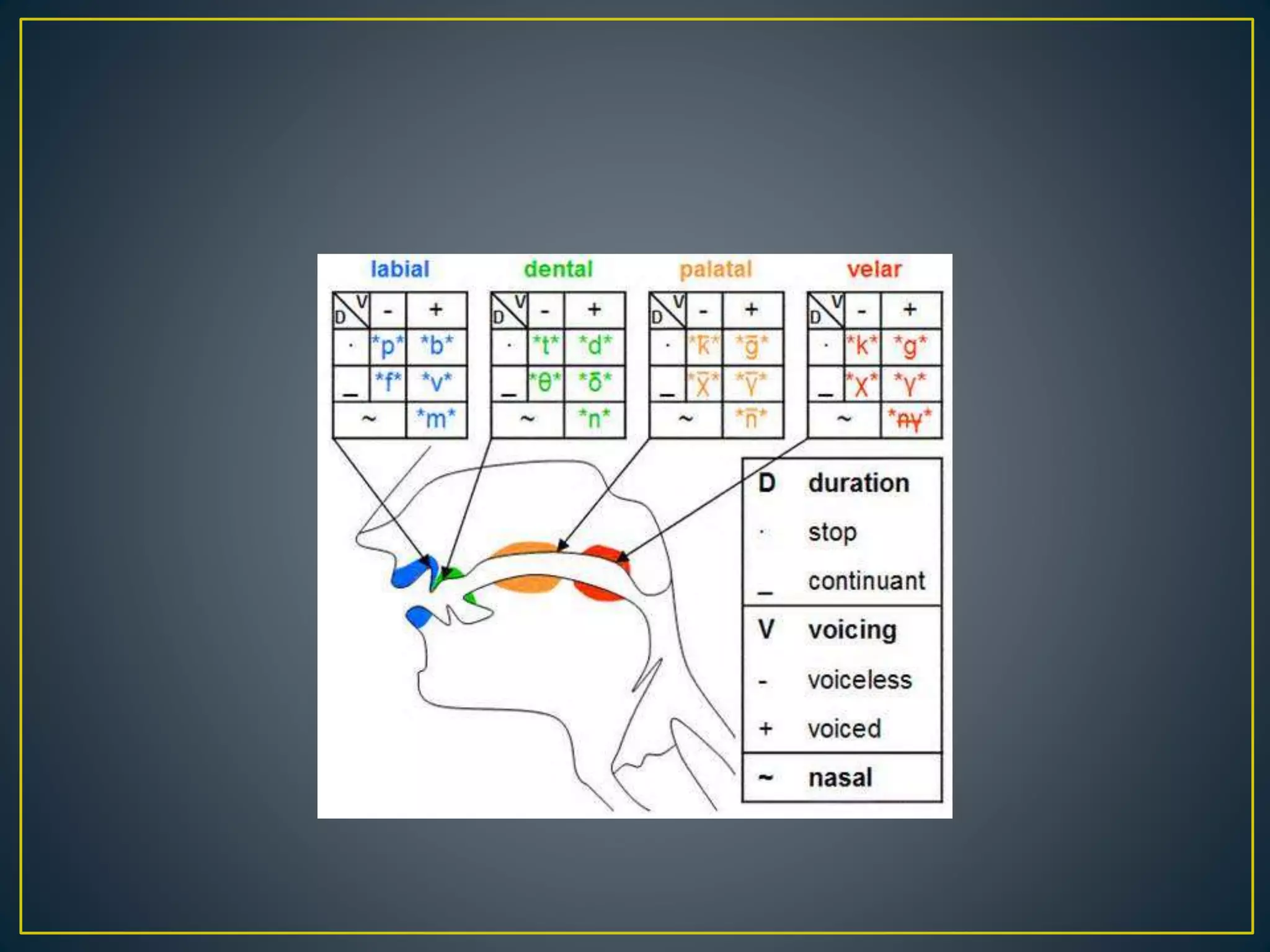 Place of articulation consonants | PPT