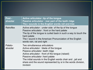 Place of articulation consonants | PPT