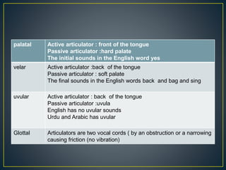 Place of articulation consonants | PPT