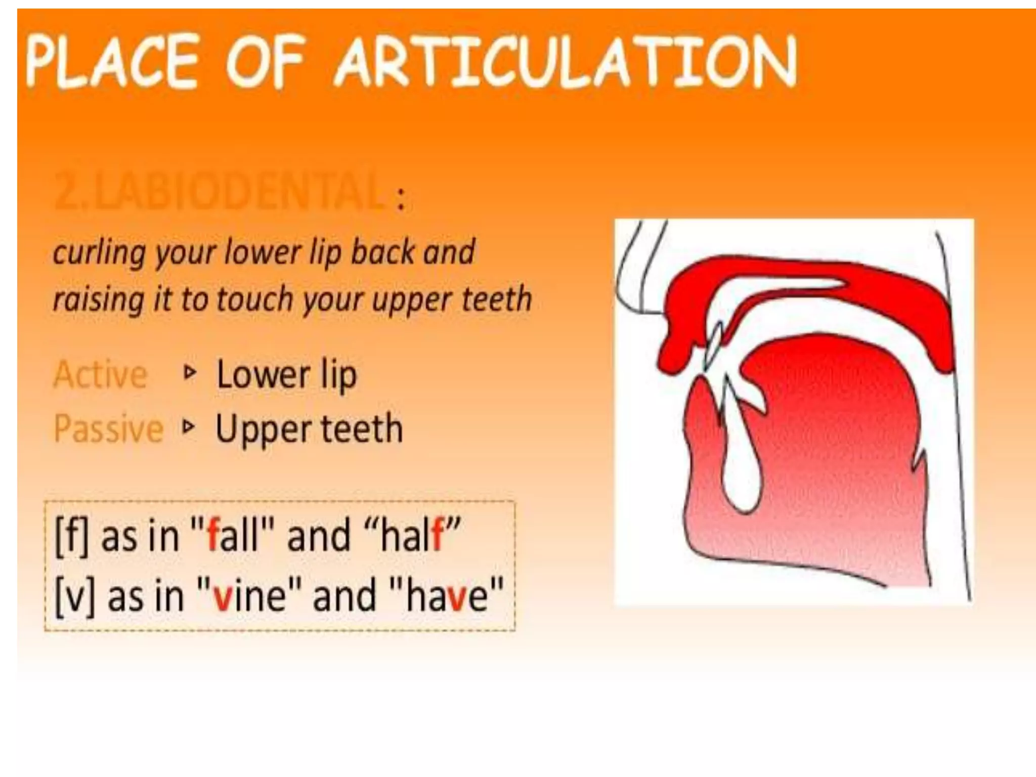 Place of articulation- consonants | PPTX