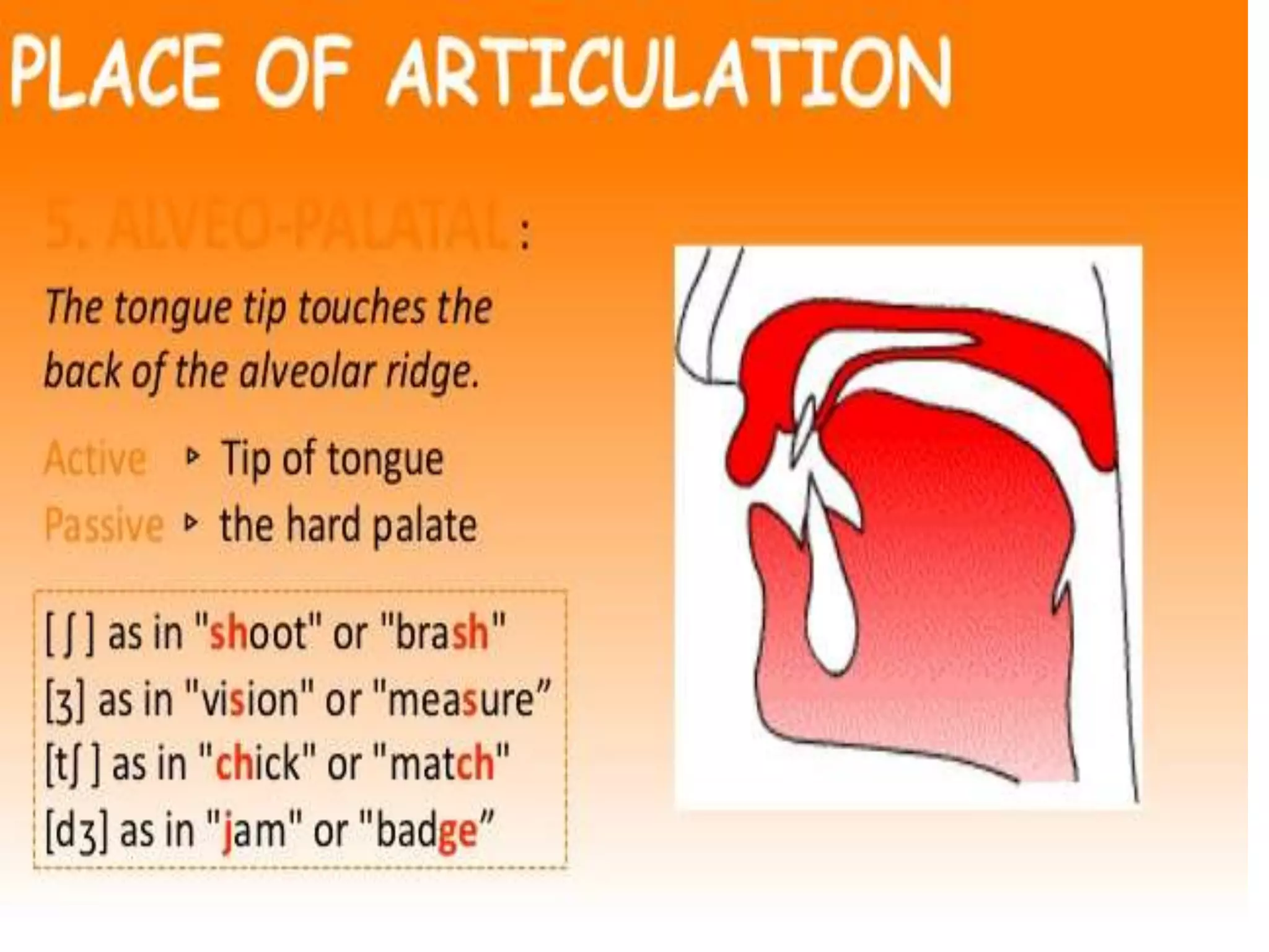 Place of articulation- consonants | PPTX