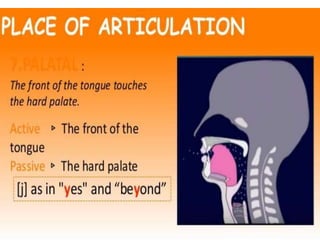 Place of articulation- consonants | PPT