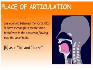 Place of articulation- consonants | PPT