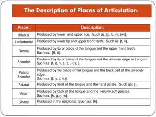 Place of articulation- consonants | PPTX