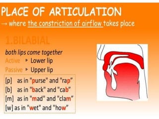 Place of articulation- consonants | PPT