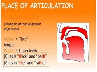 Place of articulation- consonants | PPTX