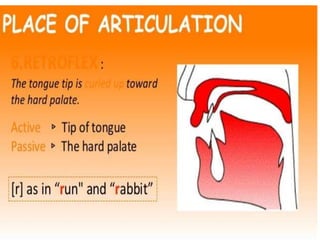 Place of articulation- consonants | PPTX
