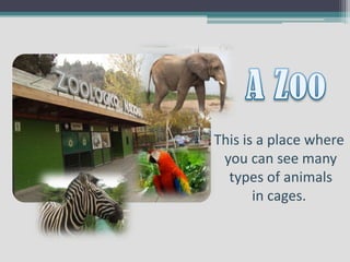 Places of a city vocabulary real | PPTX