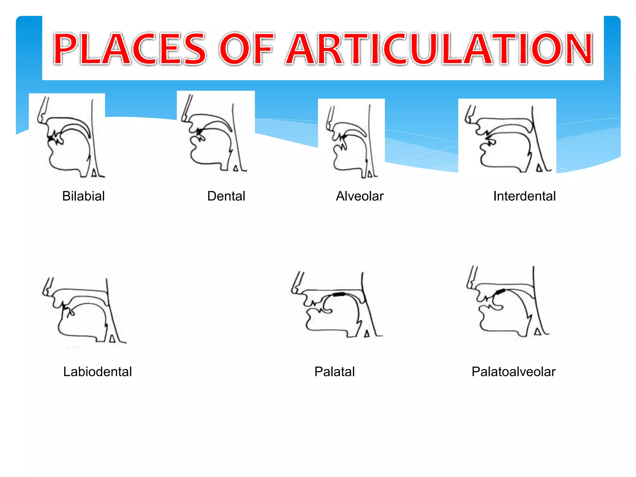 Places of articulation | PPTX