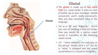 Places_of_Articulation_of_Consonant_soun.pptx