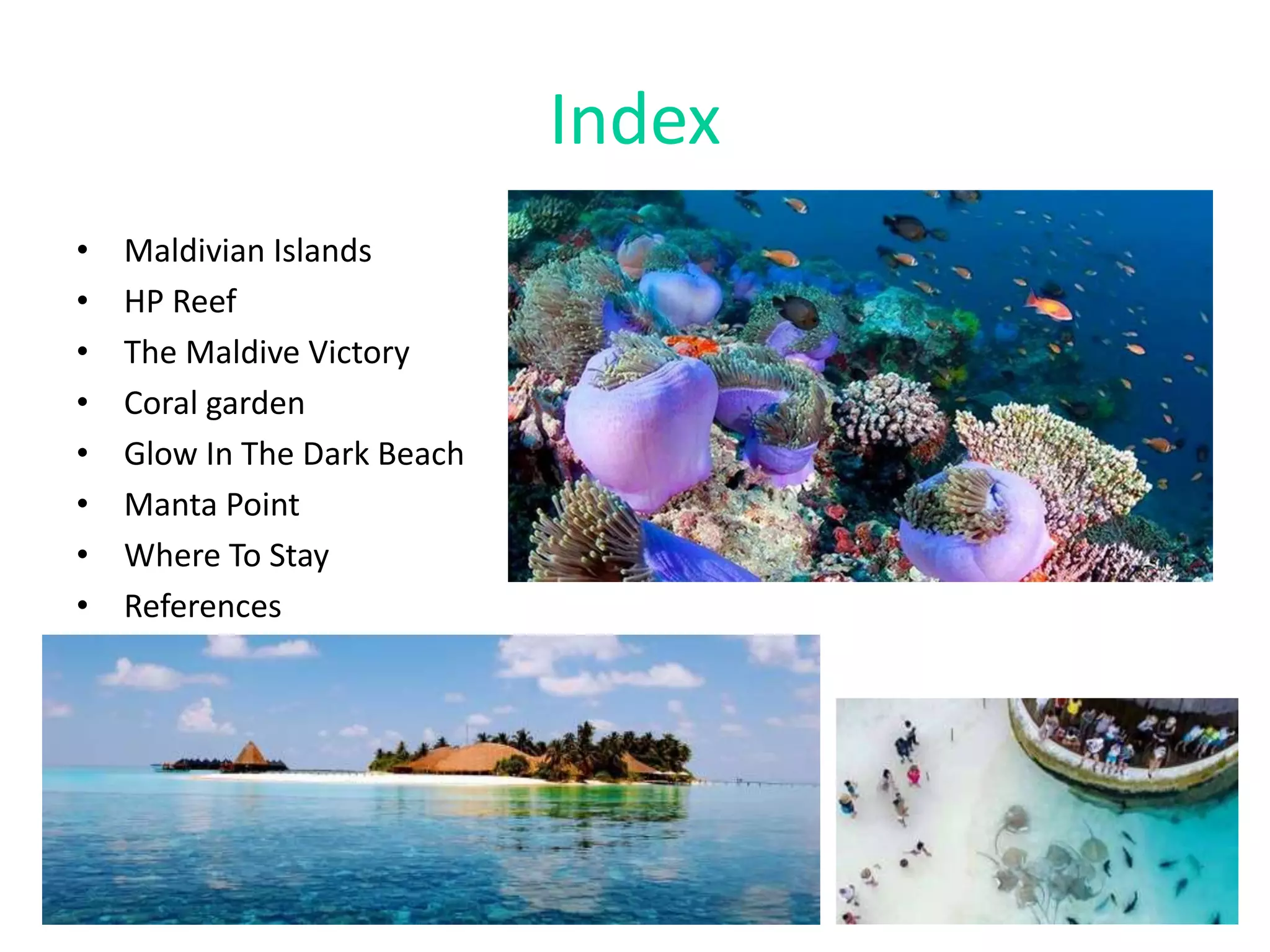 Places to visit in Maldives | PPTX | Scuba Diving | Extreme Sports