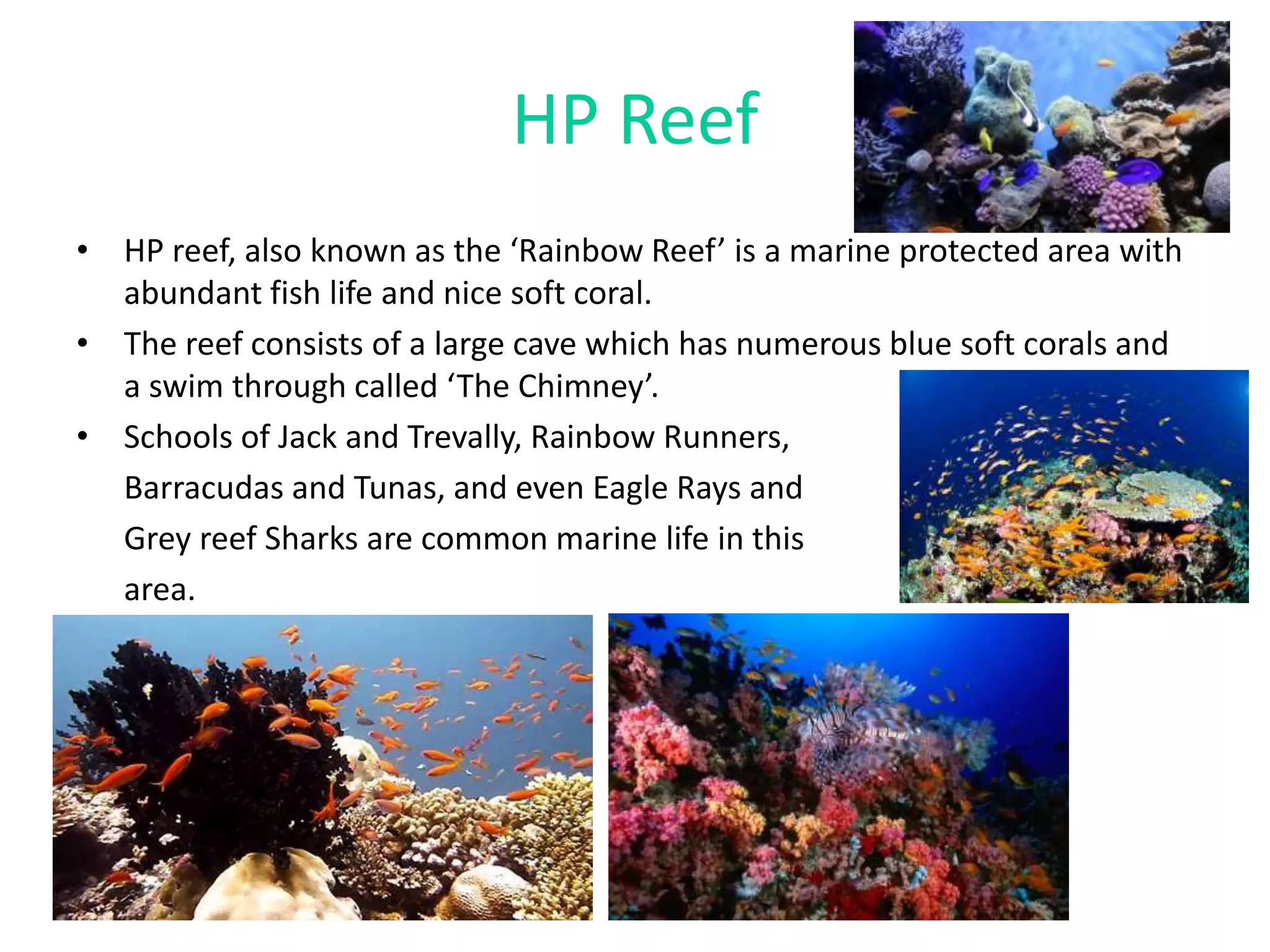 Places to visit in Maldives | PPTX | Scuba Diving | Extreme Sports