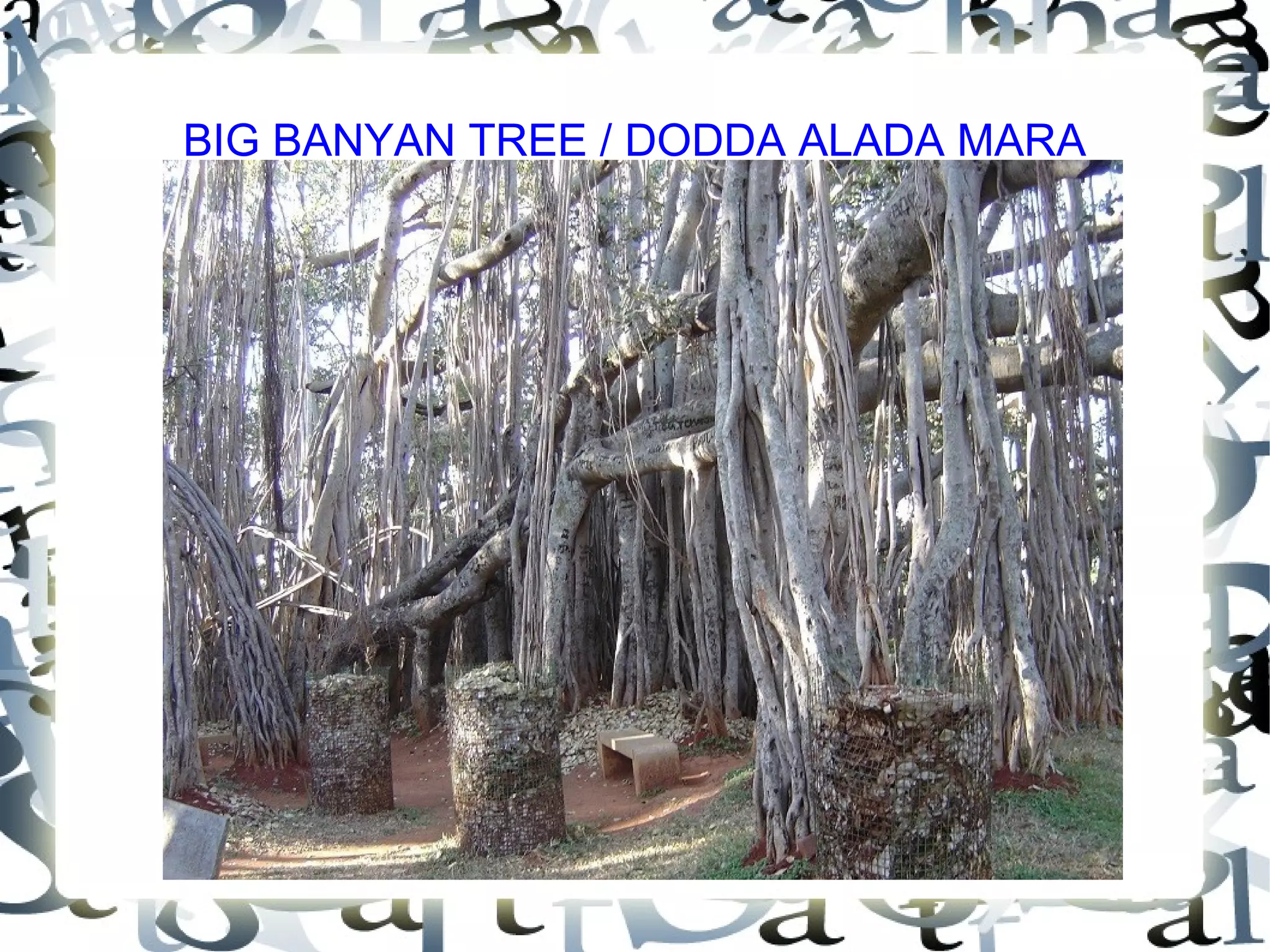 Places to visit near bangalore | ODP