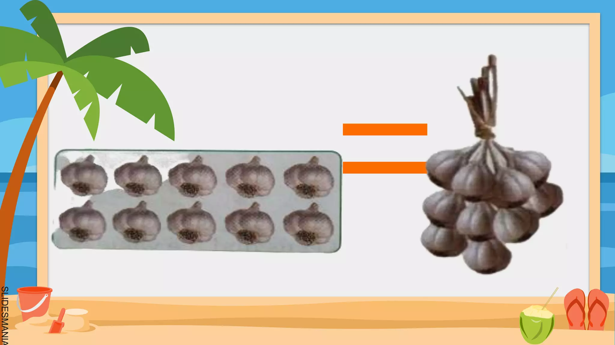 Place Value and Value of Digits in Three-digit Numbers.pptx