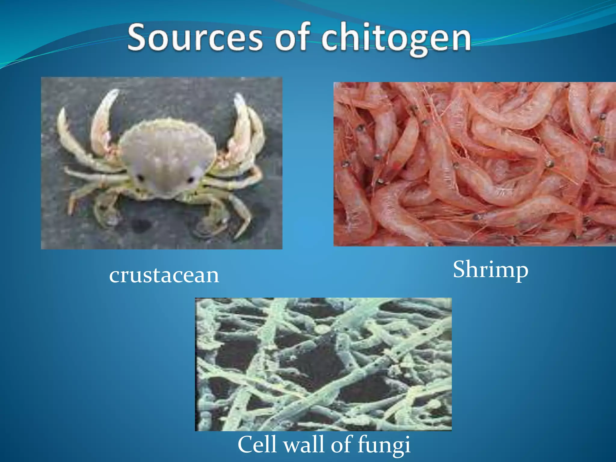 Pla & chitogen | PPT