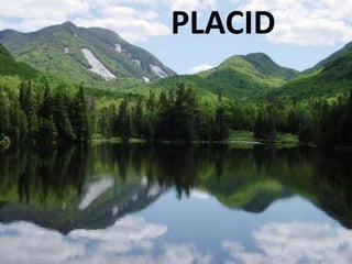 Placid | PPT