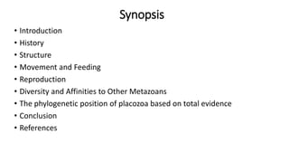Placozoa characters and affinities | PPTX