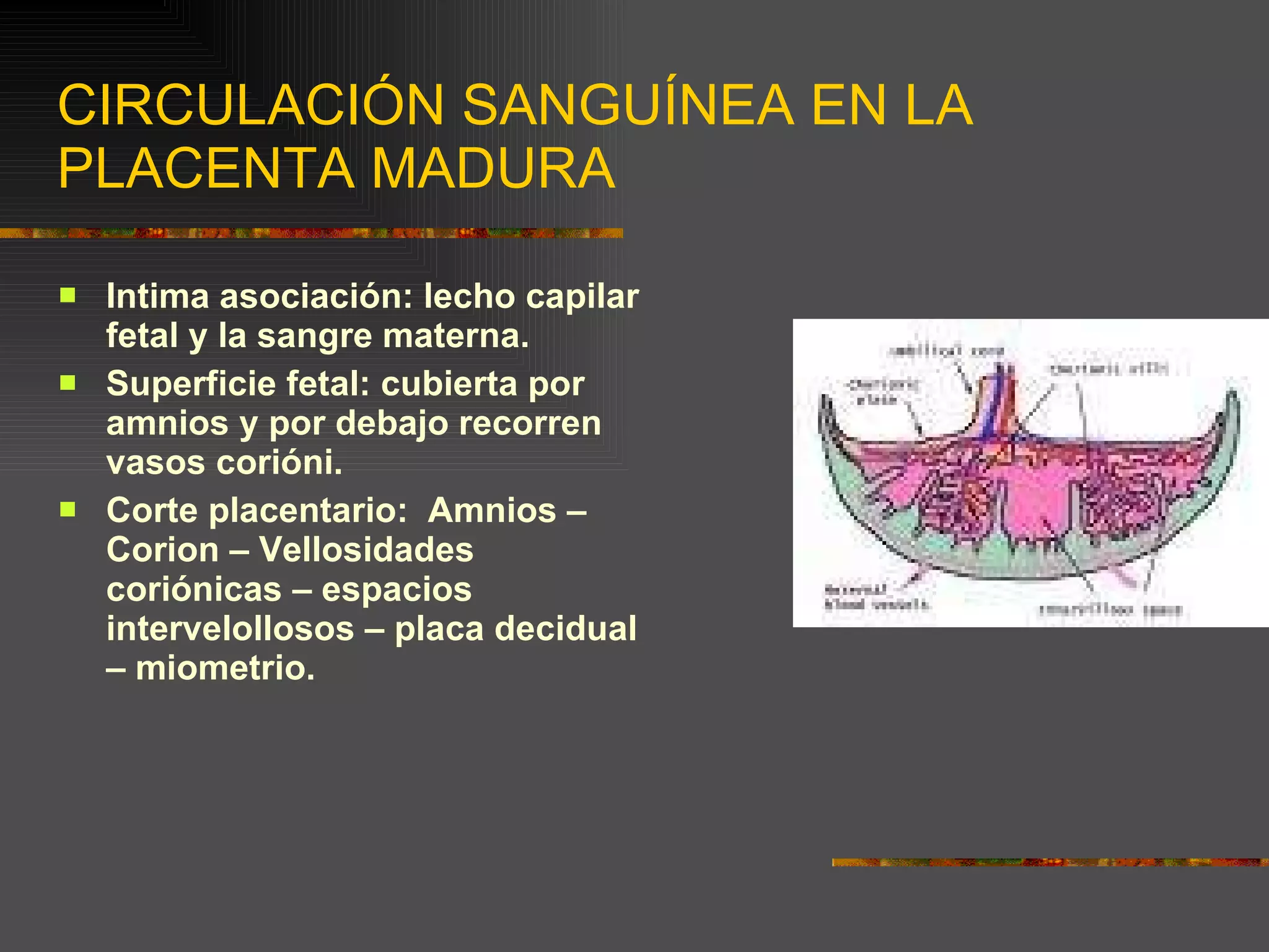 Placenta y membranas fetales | PPT