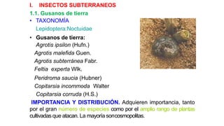 PLAGASDEPAPAINSECTOSSUBTERRANEOS (1) - copia.pdf