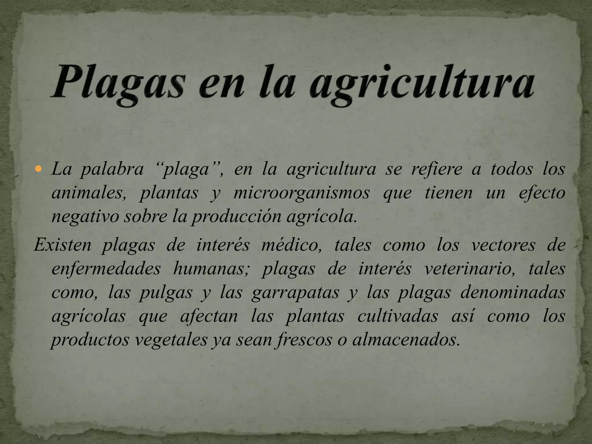Plagas Y Epidemias | PPT