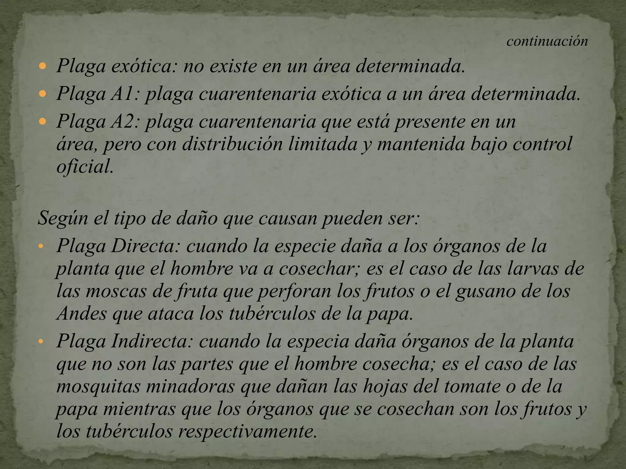 Plagas Y Epidemias | PPT