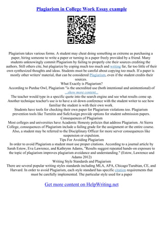 Plagiarism Essay Example | PDF