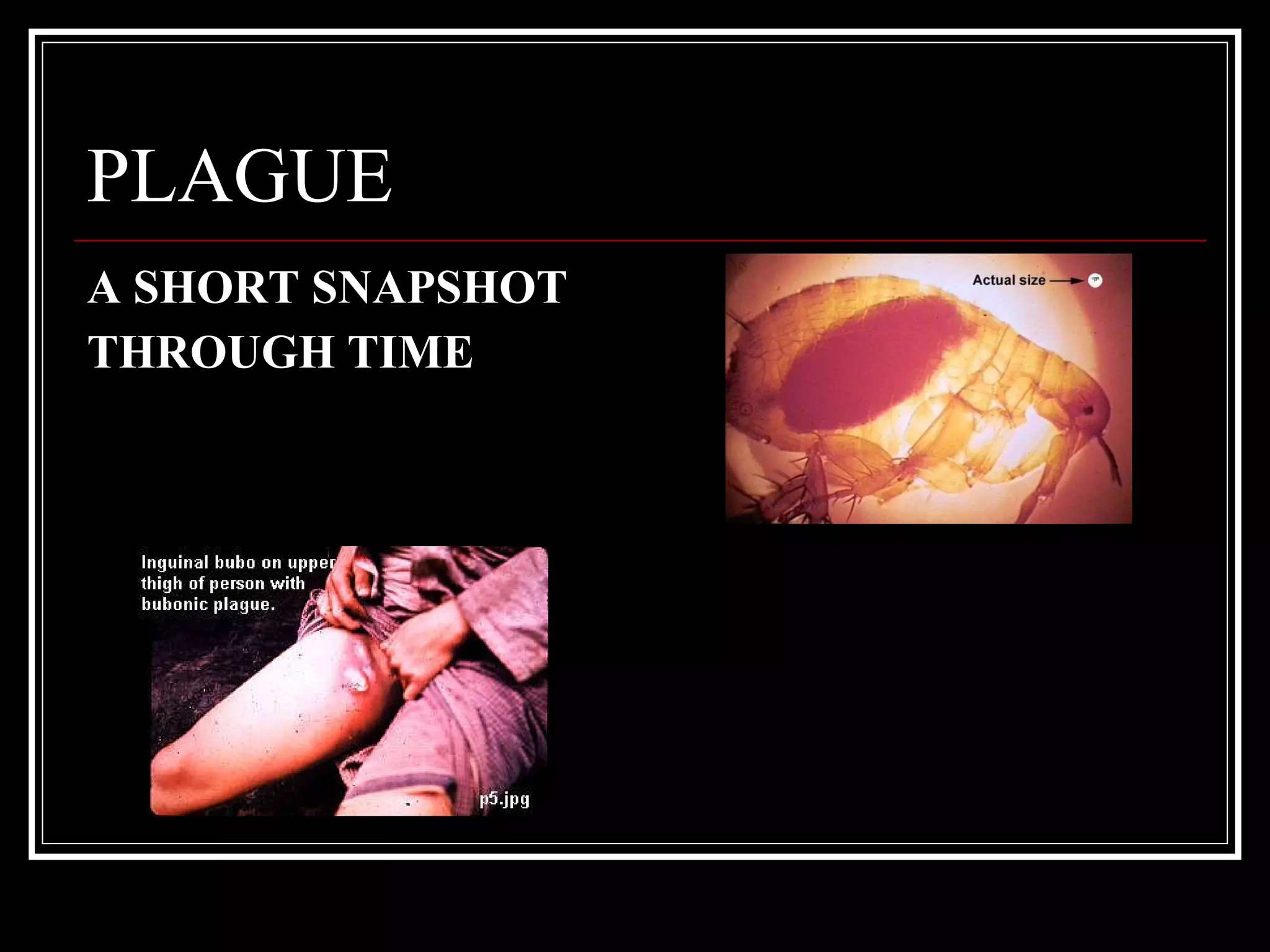 Plague | PPT
