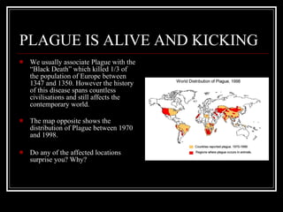 Plague | PPT
