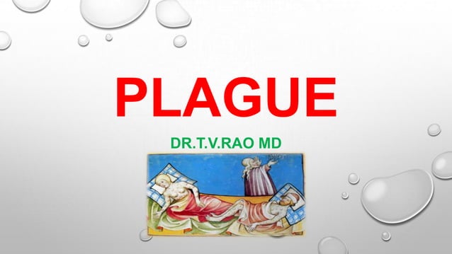 Plague | PPTX | Infectious Diseases | Diseases and Conditions